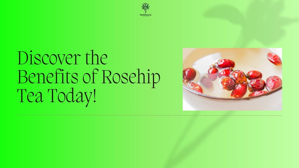 ROSEHIP TEA – Herbhearts