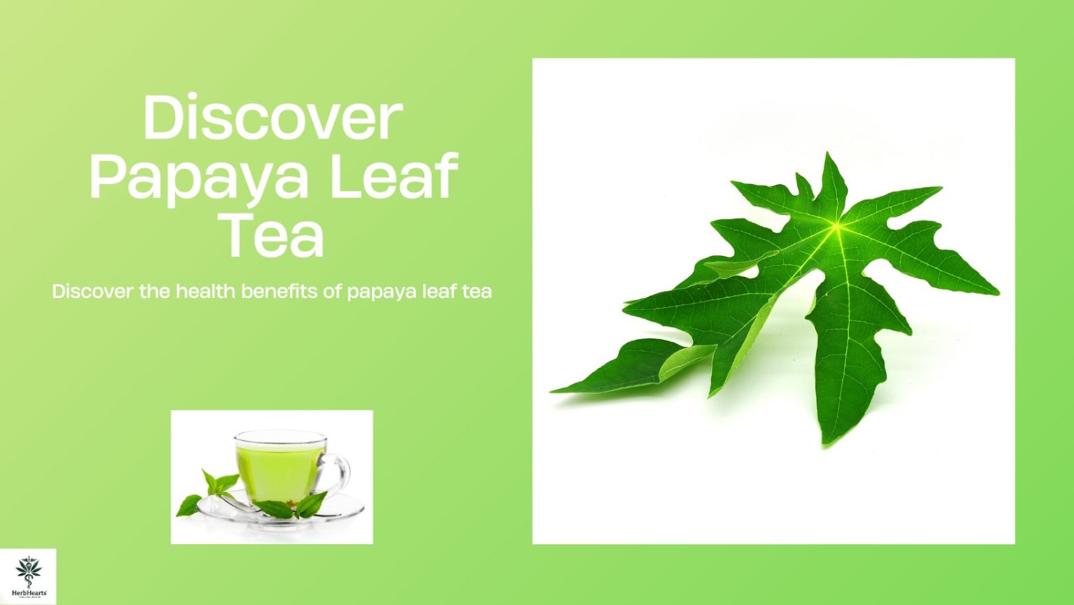 PAPAYA LEAF TEA – Herbhearts